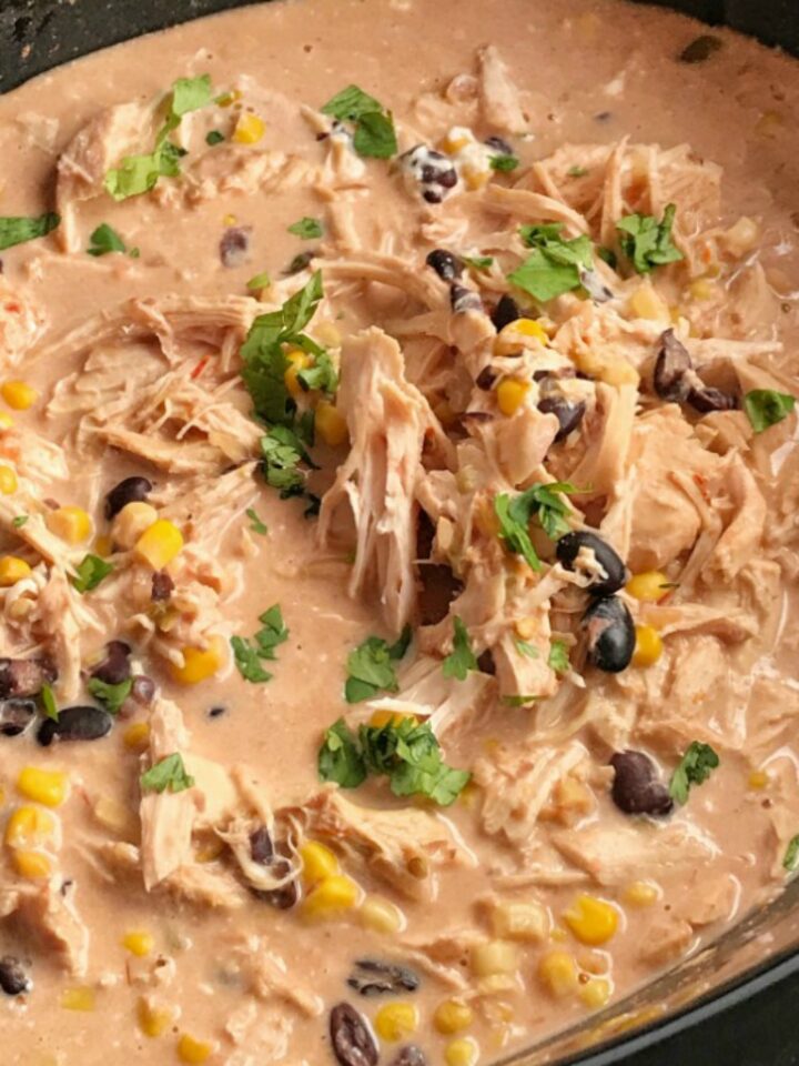 Slow Cooker Creamy Fiesta Chicken - Together as Family