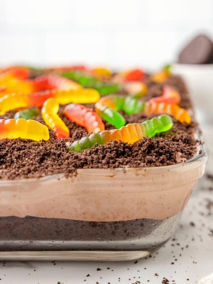 Easy Oreo Dirt Cake - Together as Family