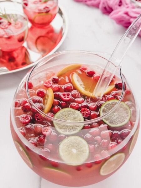 Citrus Cranberry Punch - Together as Family