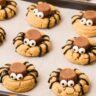 Peanut Butter Spider Cookies - Together as Family