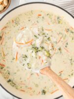 Rice-a-Roni Chicken Soup - Together as Family