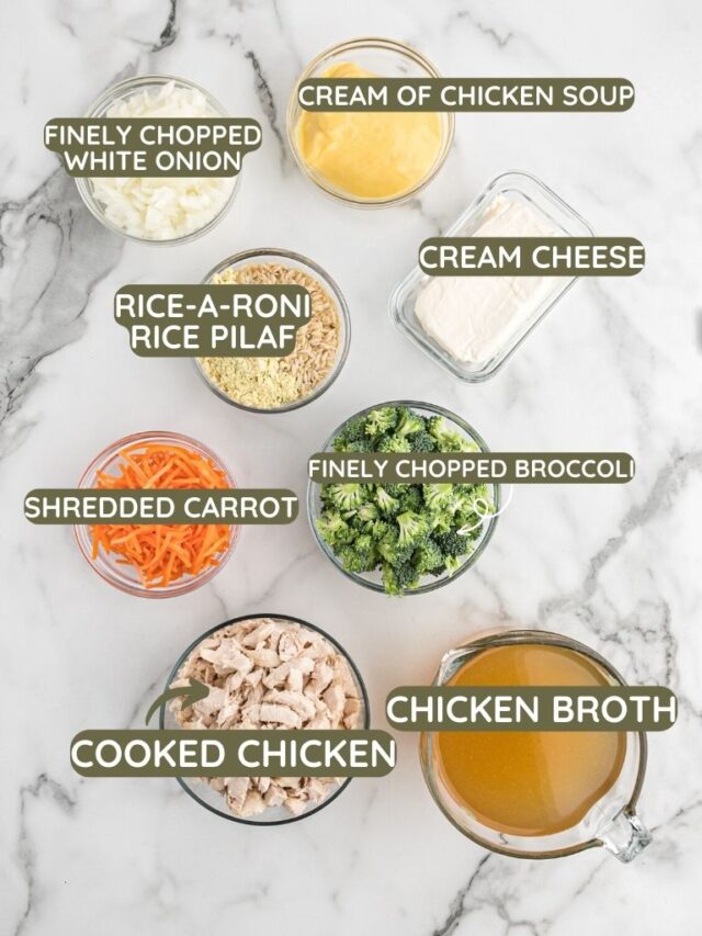 Rice-a-Roni Chicken Soup - Together as Family
