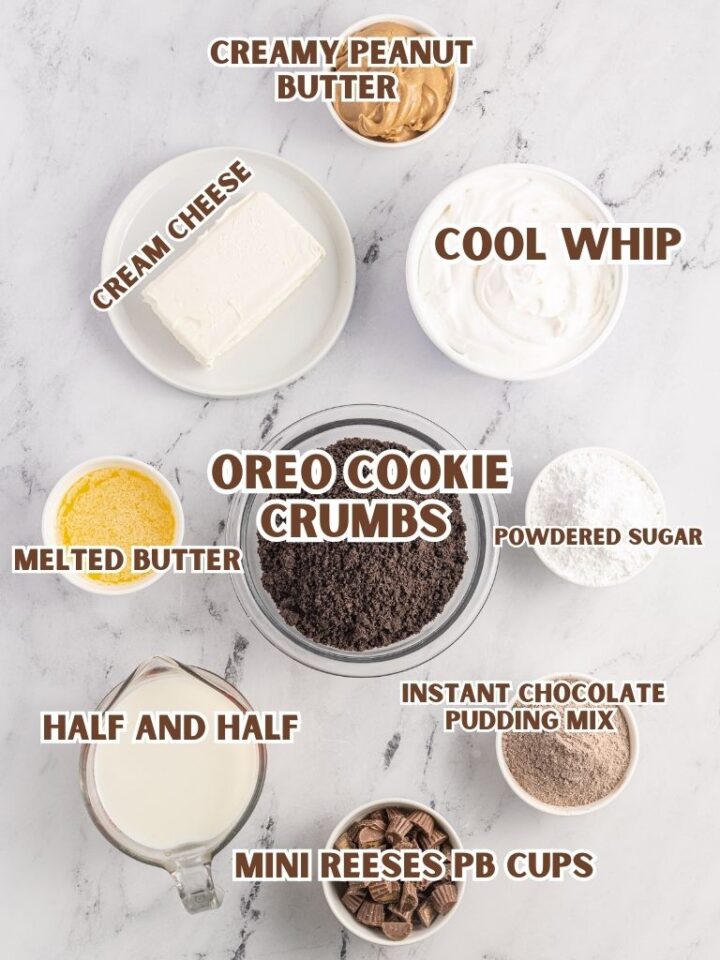 Chocolate Peanut Butter Lush - Together as Family