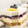 Lemon Blueberry Delight - Together as Family