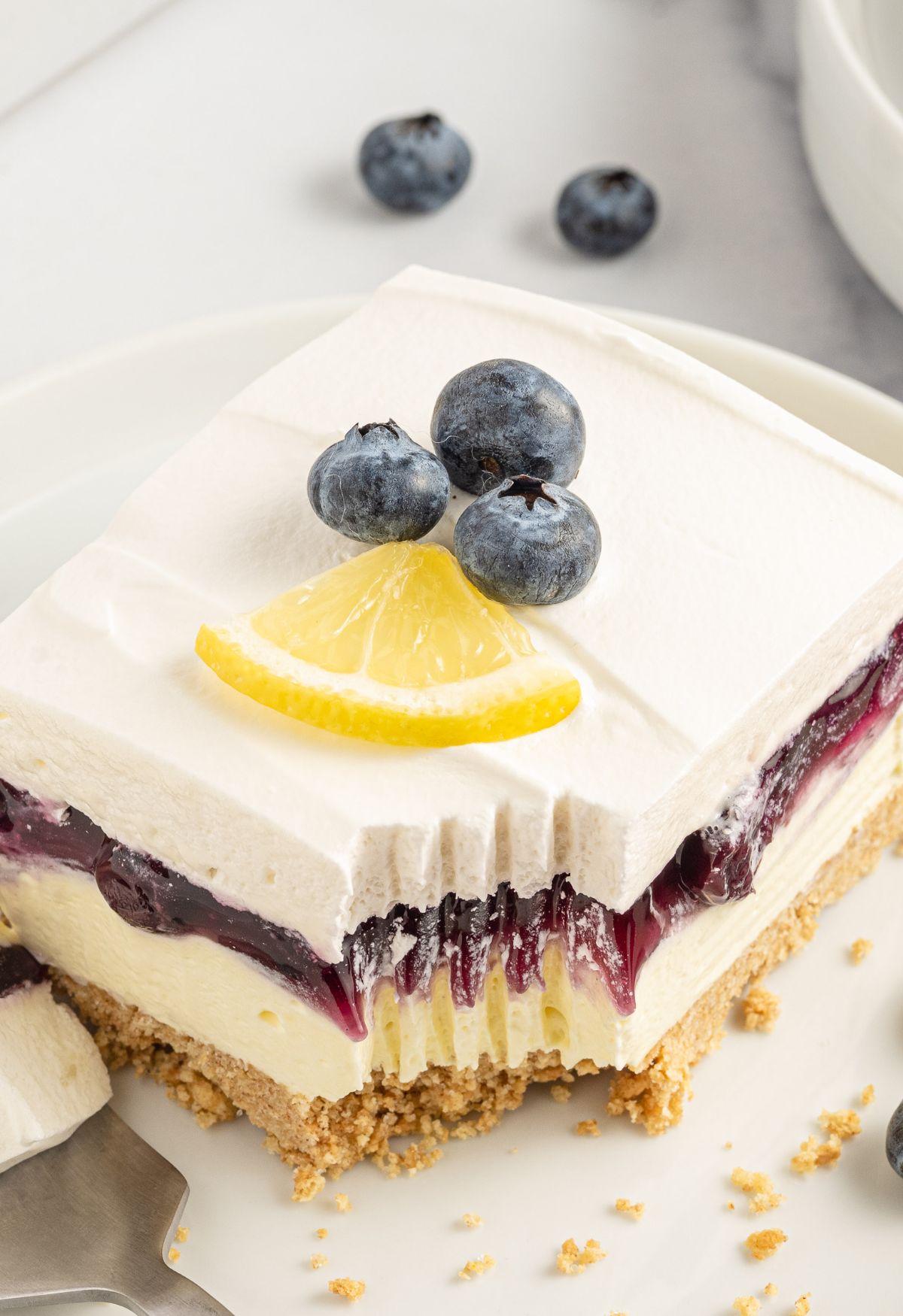 Lemon Blueberry Delight - Together as Family