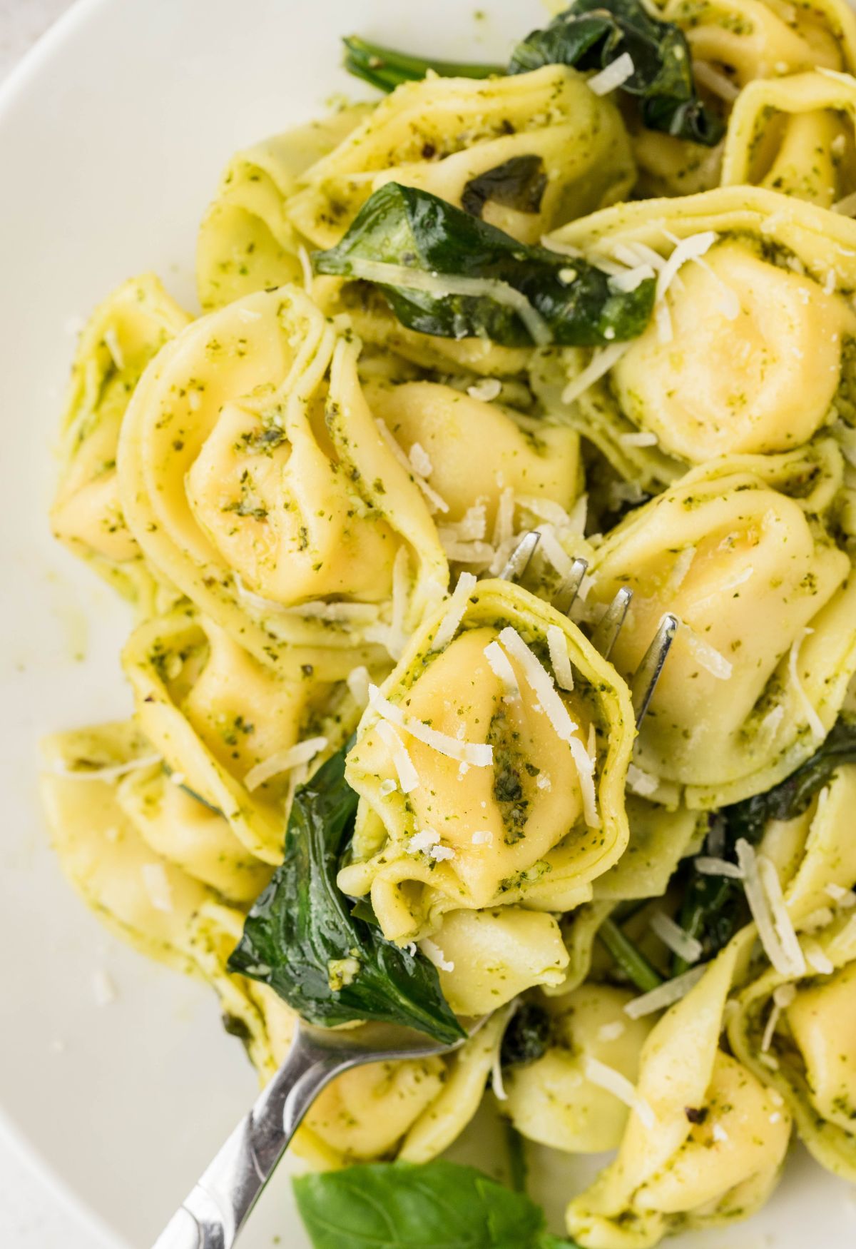 Pesto Tortellini (Homemade Pesto Sauce) - Together as Family