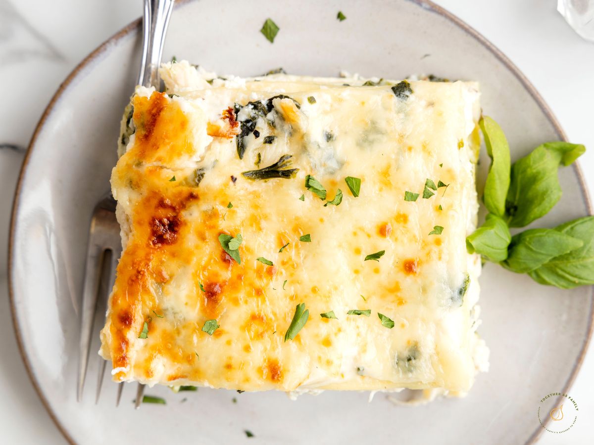 White Lasagna Recipe - Together as Family