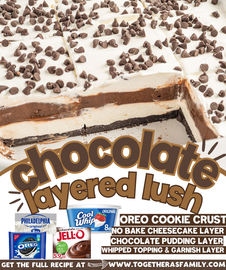 Chocolate Lush Dessert Recipe - Together as Family