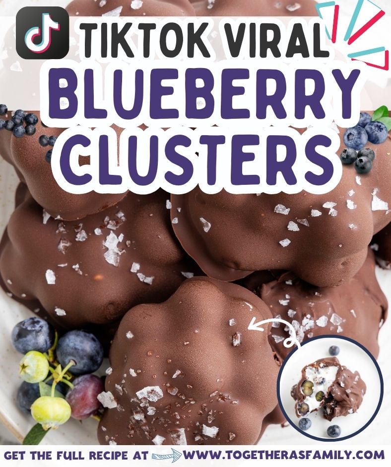 Chocolate Covered Blueberry Clusters (With Greek Yogurt) - Together as ...