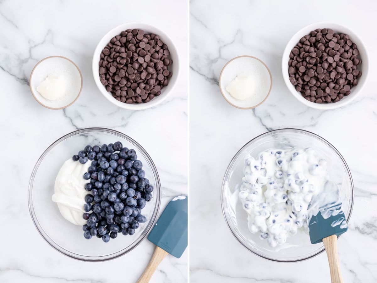 Chocolate Covered Blueberry Clusters (With Greek Yogurt) - Together as ...