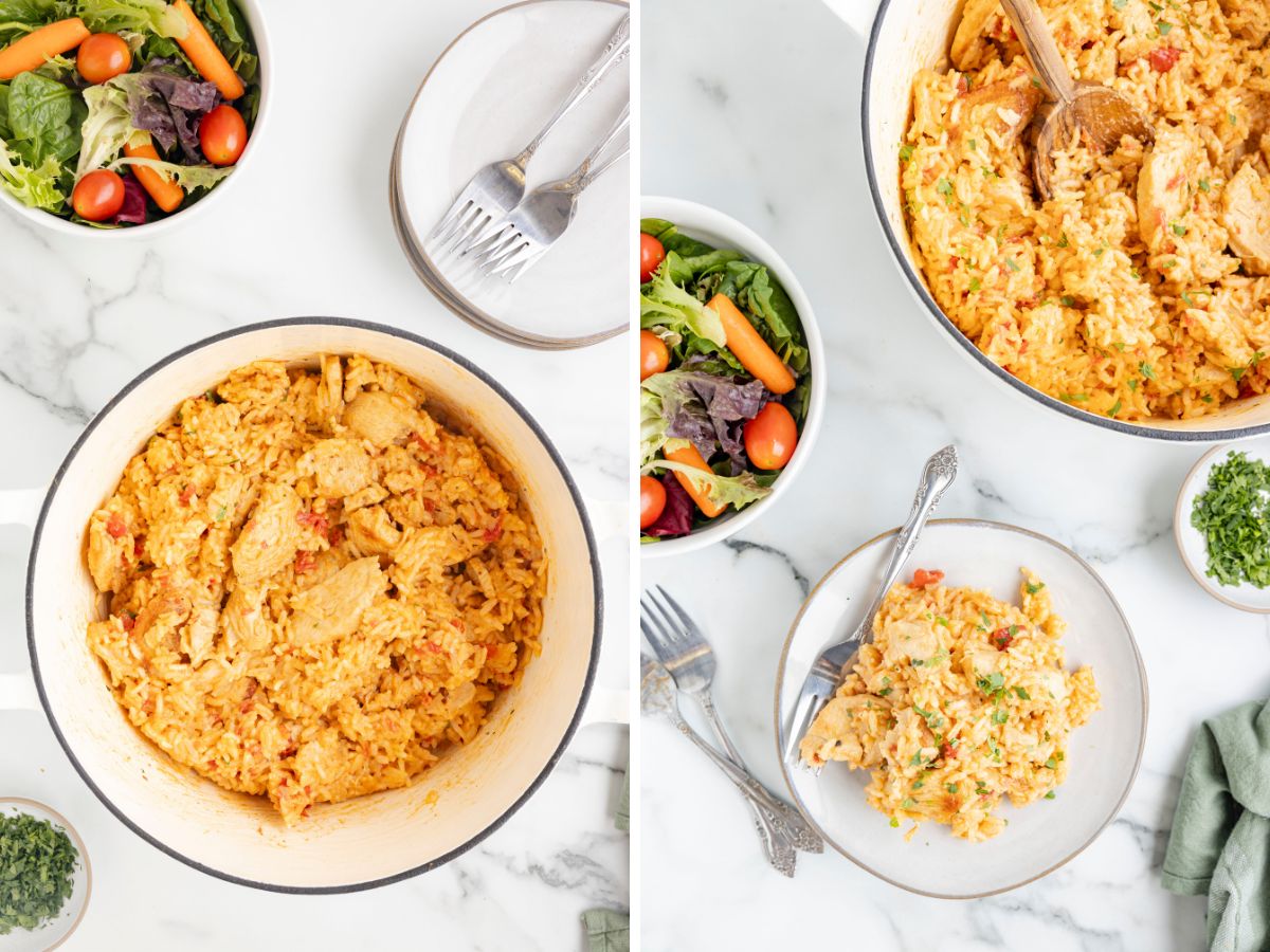 Easy One Pot Queso Chicken and Rice - Together as Family