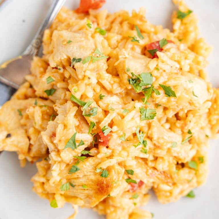 Easy One Pot Queso Chicken and Rice - Together as Family