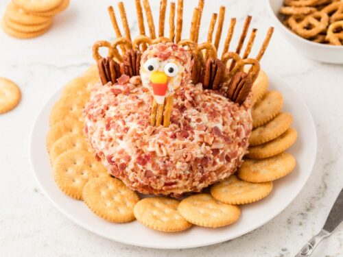 Turkey Cheese Ball Thanksgiving Appetizer Recipe - Together as Family