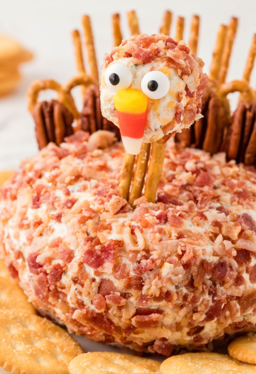 Turkey Cheese Ball Thanksgiving Appetizer Recipe - Together as Family