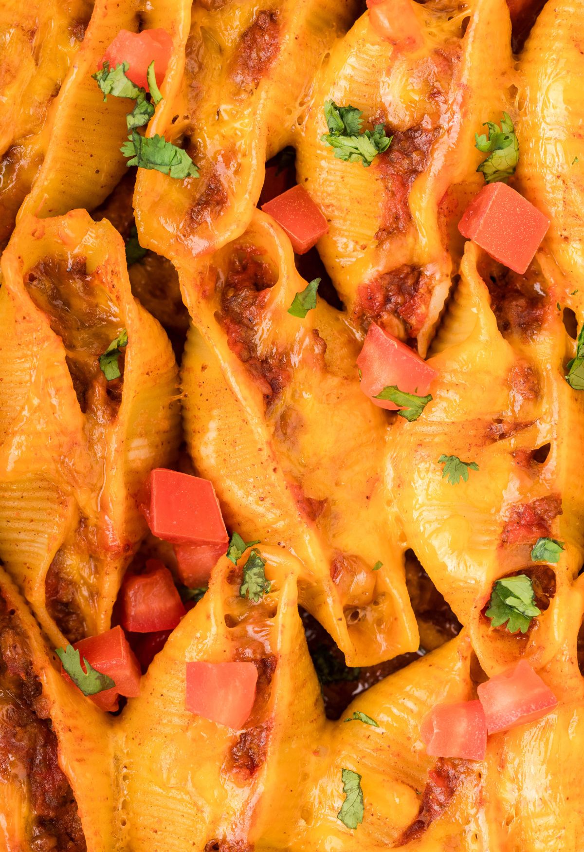 Cheesy Taco Stuffed Shells Pasta Recipe - Together as Family