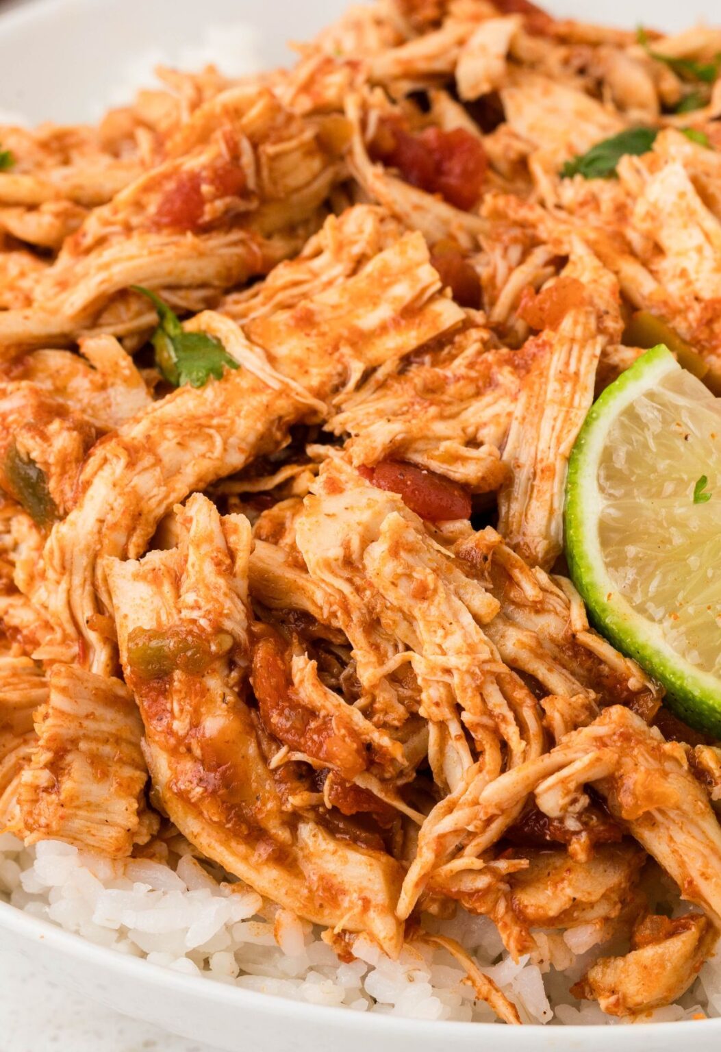Easy Crockpot Salsa Chicken - Together as Family