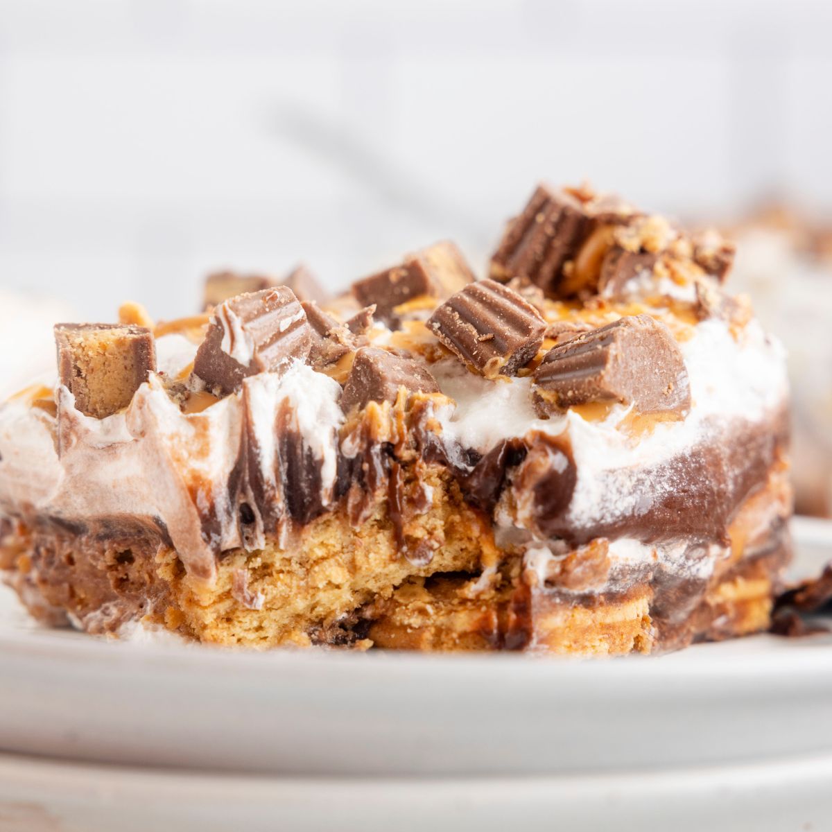 Nutter Butter Peanut Butter Icebox Cake - Together as Family