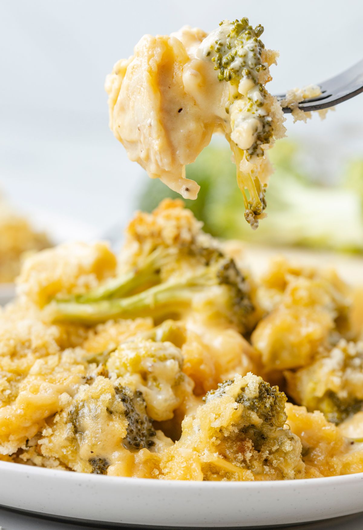 Creamy Broccoli Chicken Divan Casserole - Together as Family