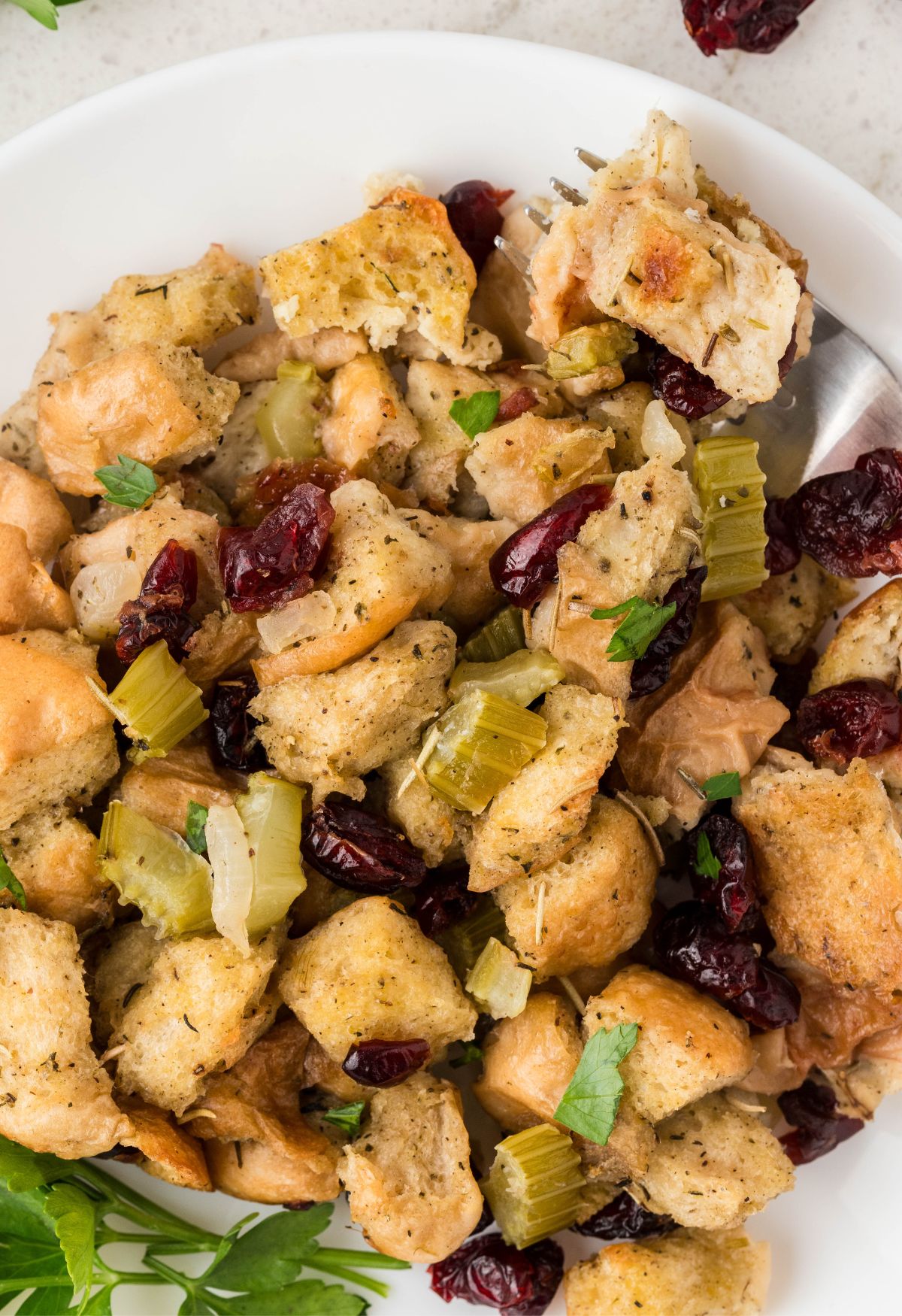 Cranberry Stuffing - Together as Family