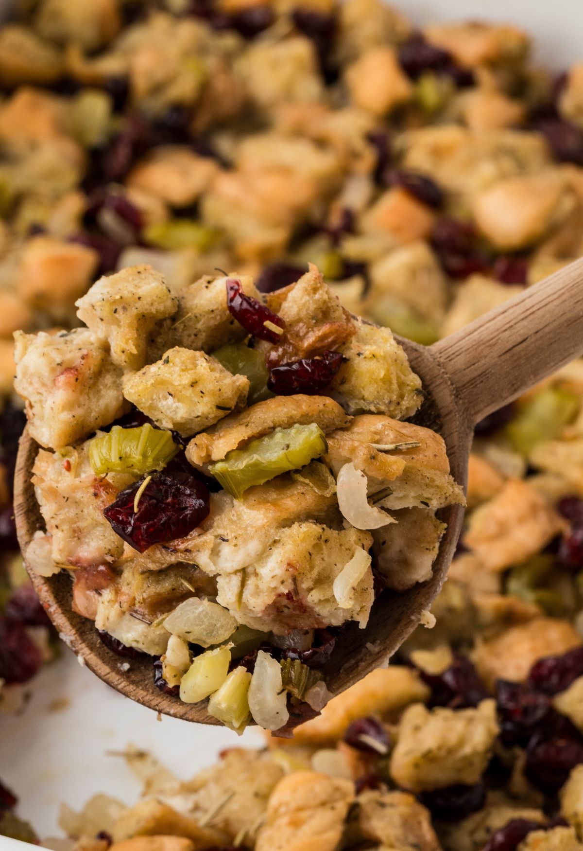 Cranberry Stuffing - Together as Family