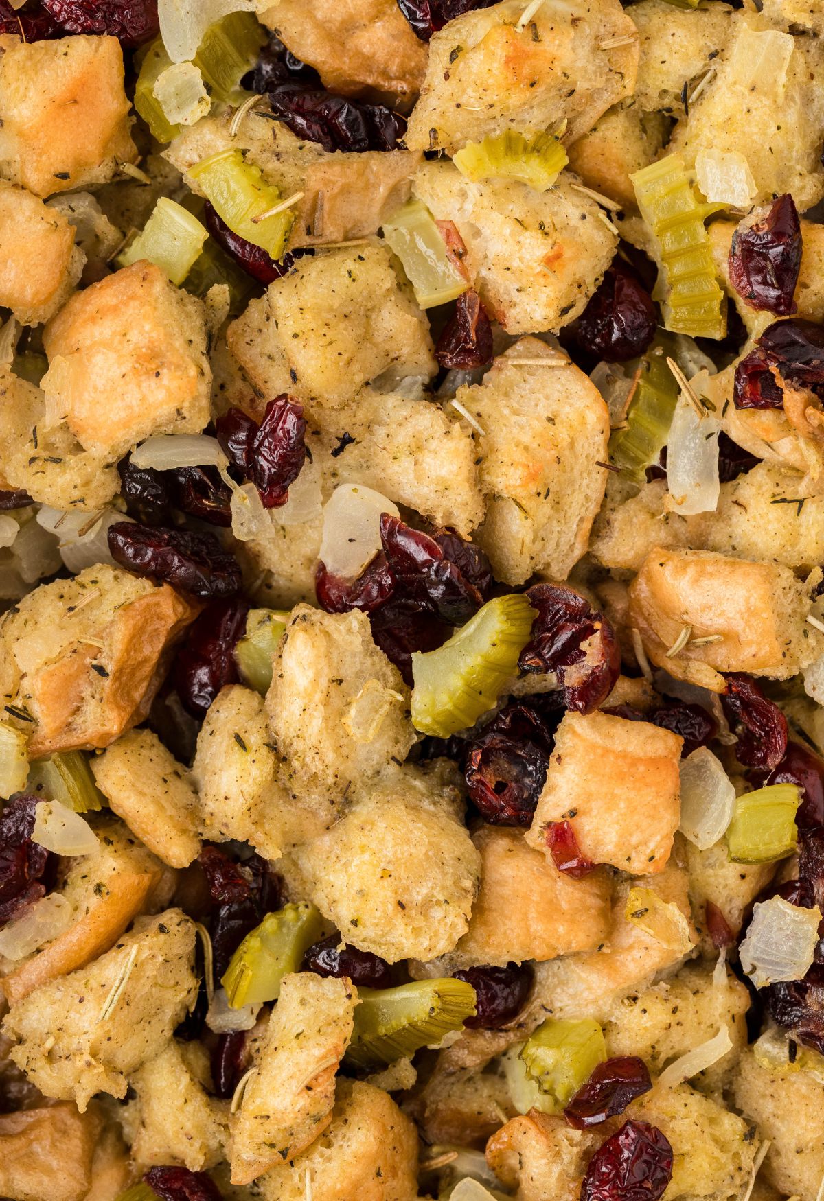 Cranberry Stuffing - Together as Family