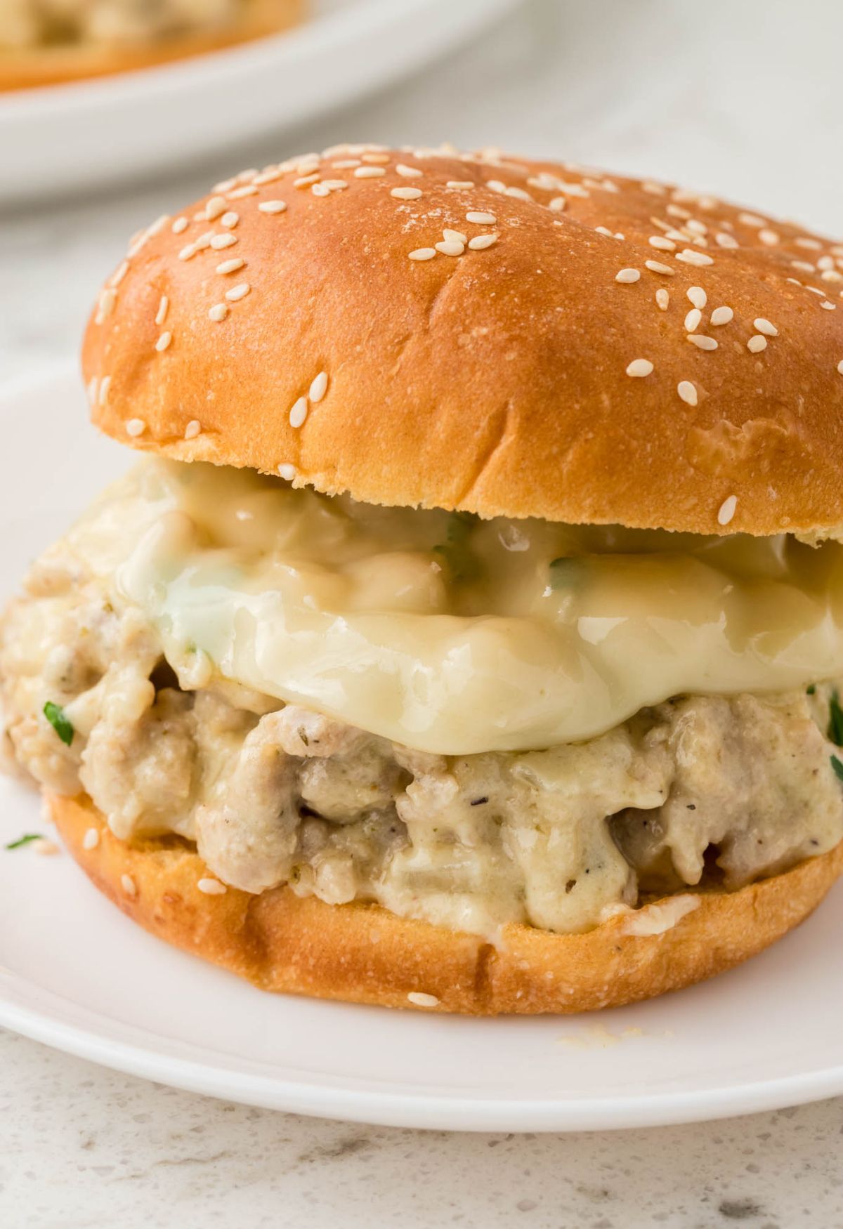 Chicken Parmesan Sloppy Joes - Together as Family