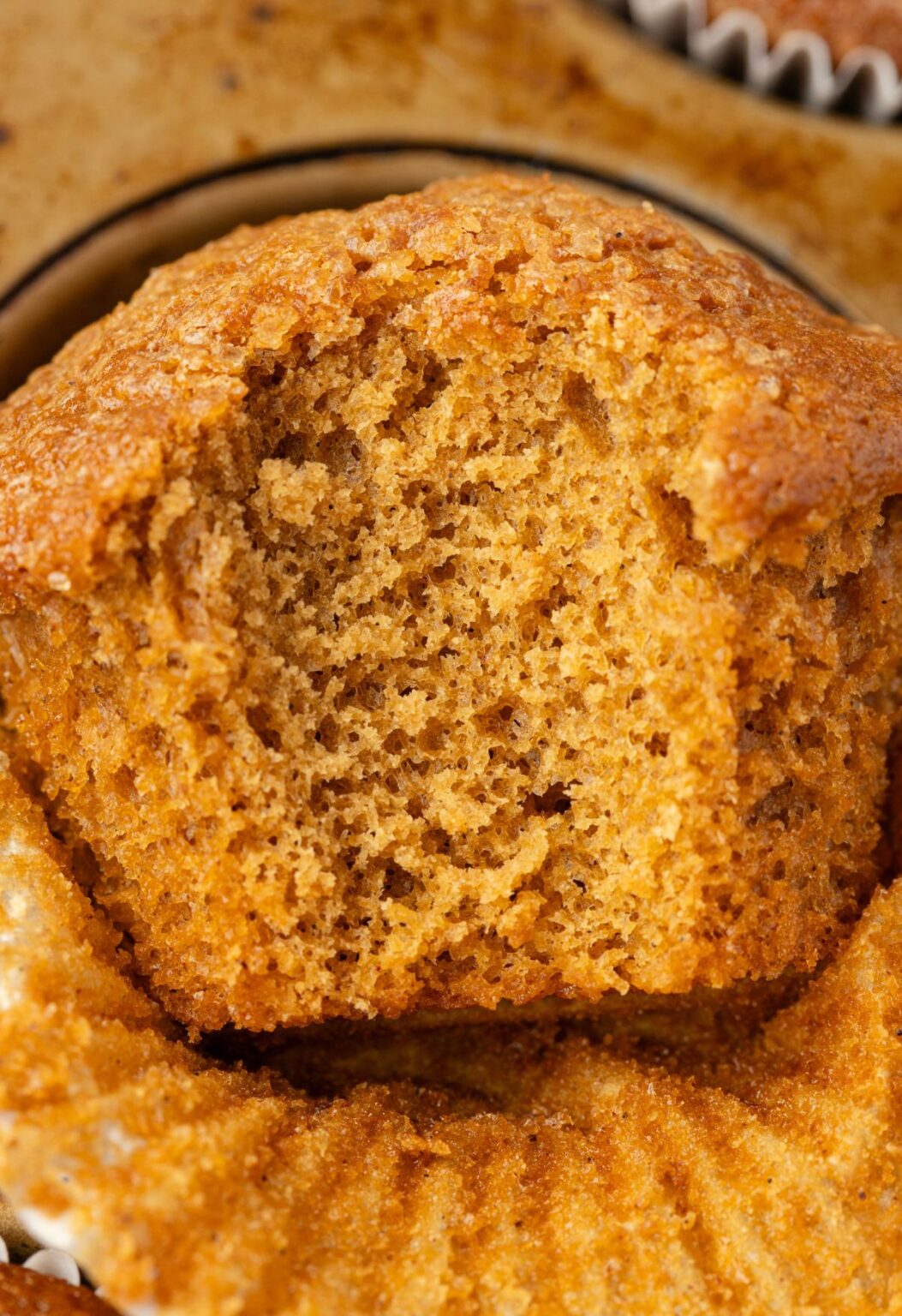 Bakery Style Spiced Gingerbread Muffins - Together as Family